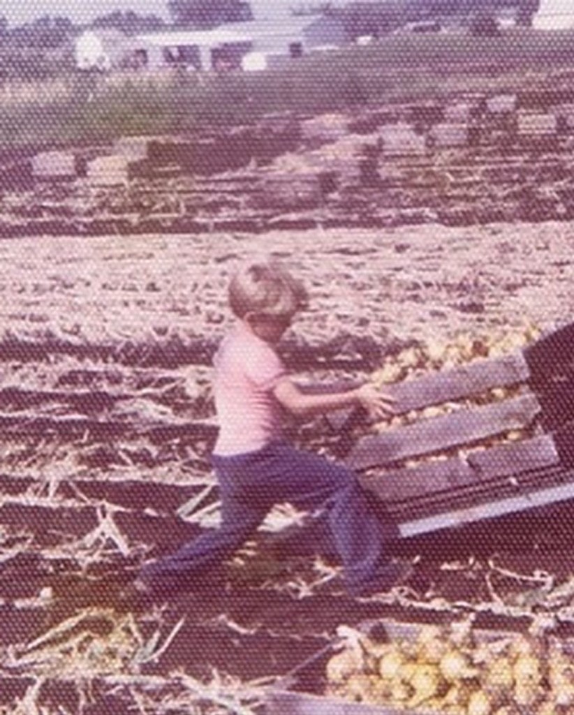 Mucking it up in Muckville | Want to know what life is like on a ...